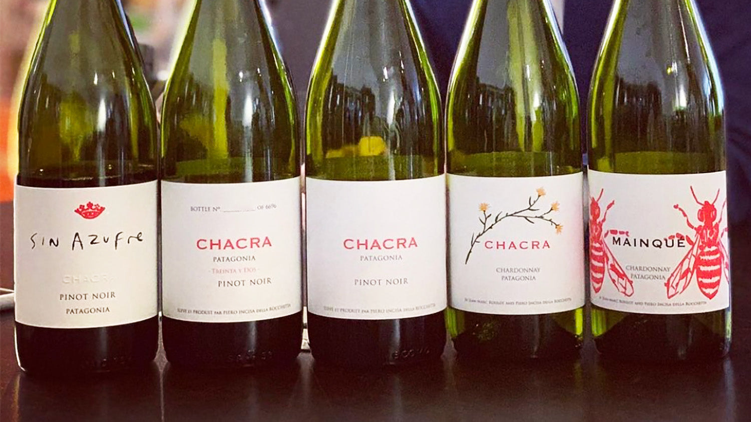 Bodega Chacra: Sustainable Patagonian Expression – Sotheby's Wine
