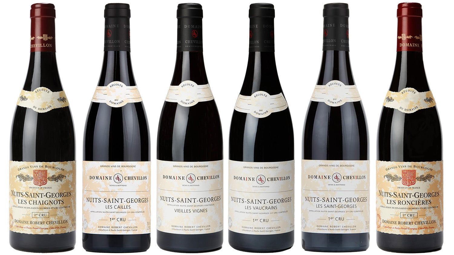 Benchmark Nuits-St.-Georges from Chevillon – Sotheby's Wine