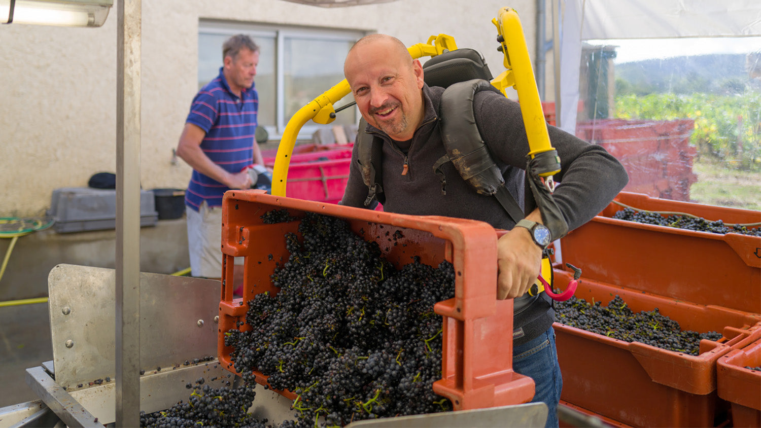 The 2019 Vintage from Domaine Fourrier – Sotheby's Wine