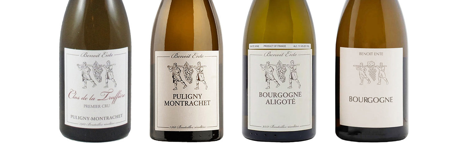 Benoît Ente: Puligny’s Rising Star – Sotheby's Wine