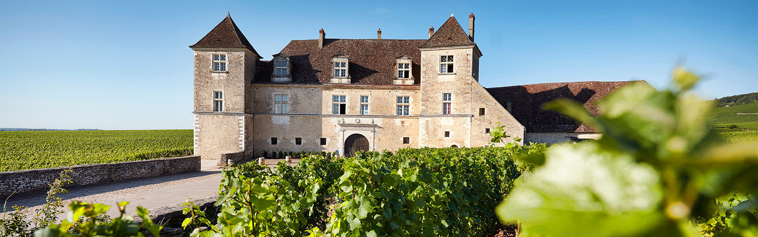 Clos de Vougeot: Parsing the Iconic Giant of Grands Crus – Sotheby's Wine