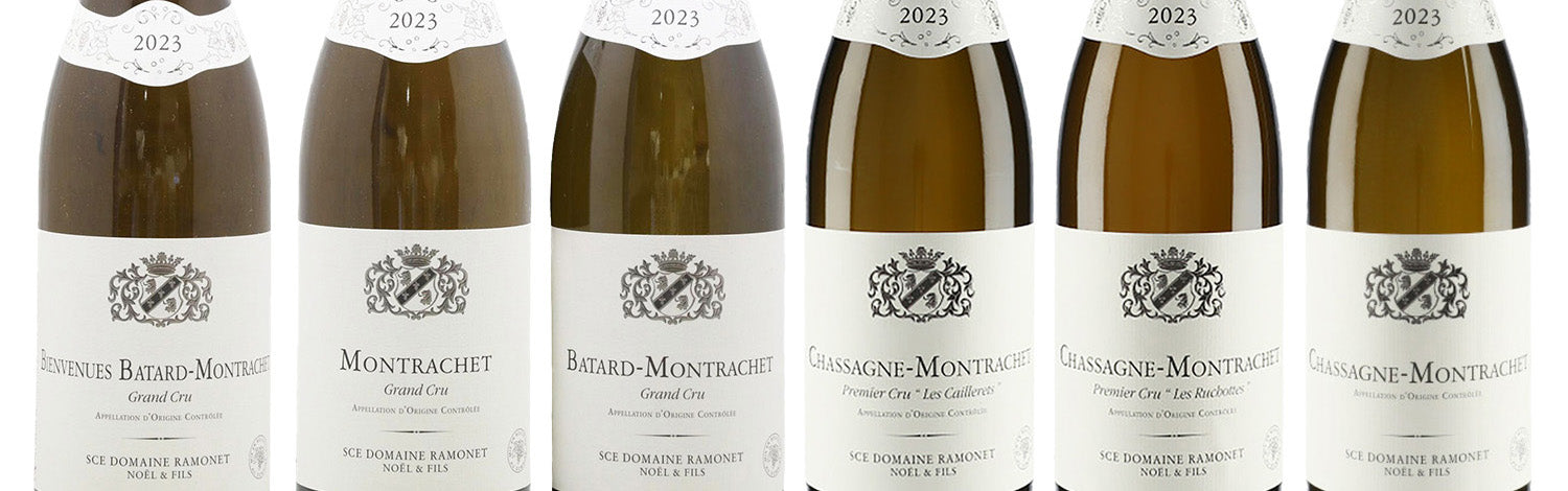 Ramonet Noël & Fils: The 2023 Vintage – Sotheby's Wine